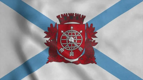 Flag of Rio de Janeiro, Brazil, waving i... | Stock Video | Pond5