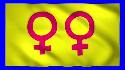 Lesbian Sexual Flag Stock Videos – Royalty-Free HD & 4K Videos | Page 3