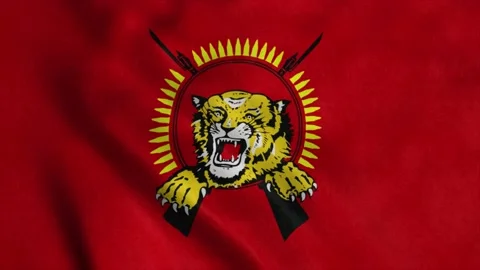 Flag of Tamil Eelam, waving in wind. Rea... | Stock Video | Pond5