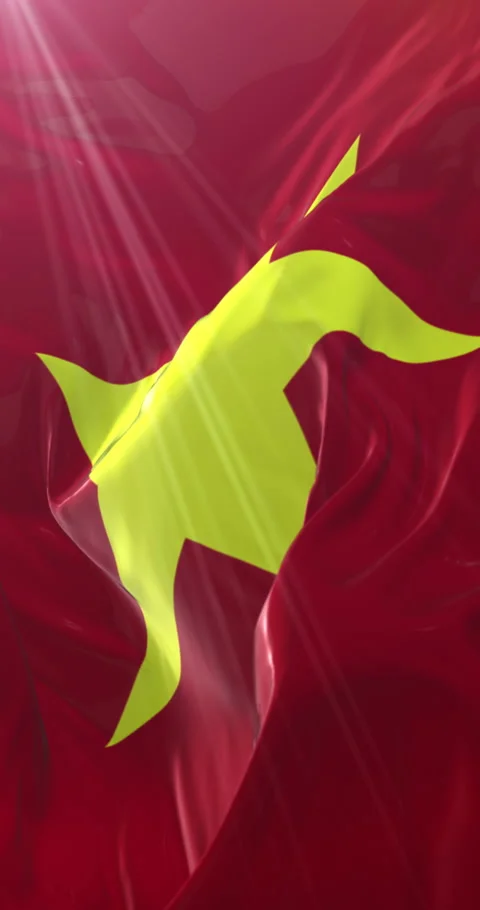 Ben T3N Logo Stock Videos – Royalty-Free HD & 4K Videos