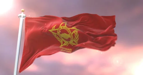 Warsaw Pact Flag Stock Videos – Royalty-Free HD & 4K Videos