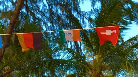 flags of different countries on a tropic... | Stock Video | Pond5