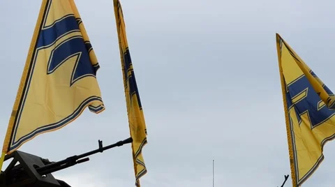 Flags of the regiment "Azov" by military... | Stock Video | Pond5