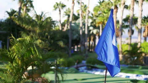 Flags waving on a tropical golf field in... | Stock Video | Pond5