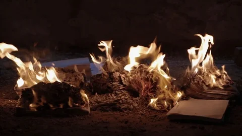 2 Associated Documents Stock Videos – Royalty-Free HD & 4K Videos