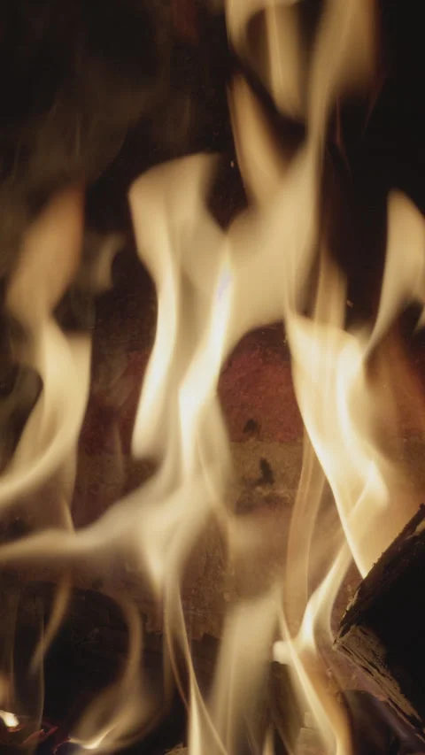 Fire Log Video Stock Videos – Royalty-Free HD & 4K Videos