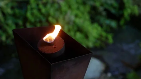 Flaming torch in jungle with green tree ... | Stock Video | Pond5
