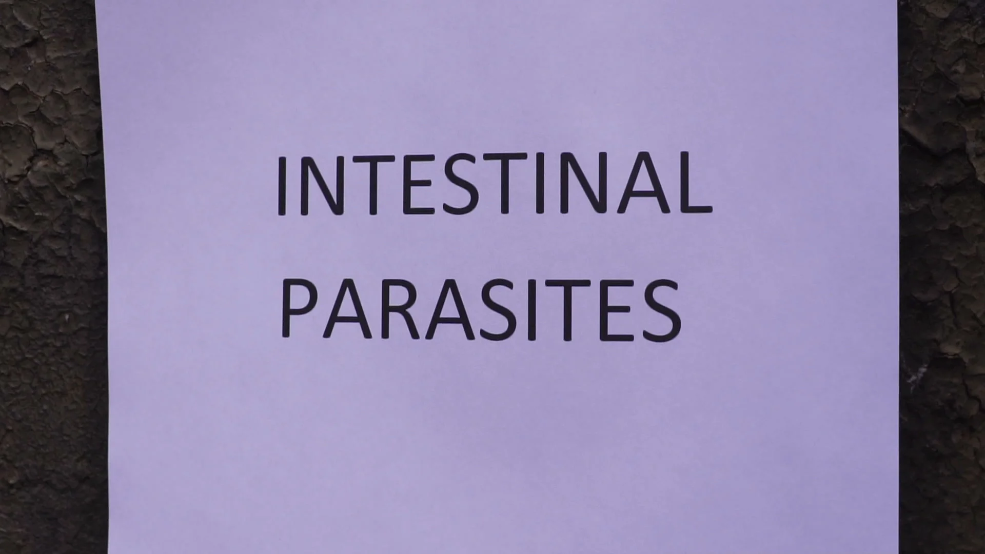 The Word Internal Parasites