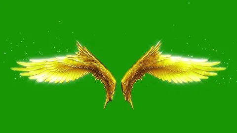 Green Screen Wings Stock Videos – Royalty-Free HD & 4K Videos | Pond5