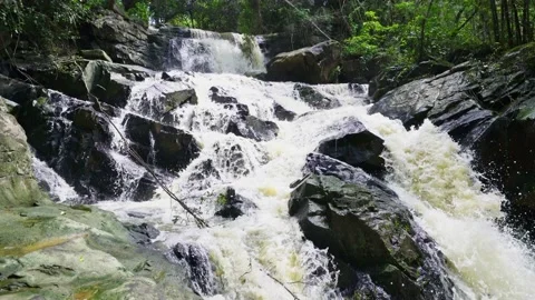 Flash flood at Waterfall in deep rain fo... | Stock Video | Pond5