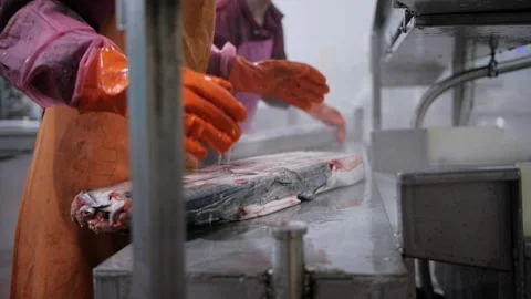 Step Flashing Stock Videos – Royalty-Free HD & 4K Videos