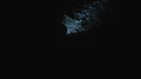 Flashlight Night Stock Video Footage | Royalty Free Flashlight Night ...