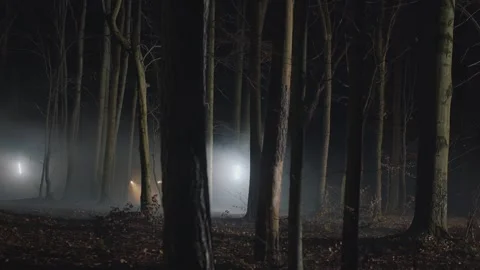 Flashlight's beams flickering among tree... | Stock Video | Pond5