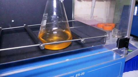 Ecoli Stock Video Footage | Royalty Free Ecoli Videos | Pond5