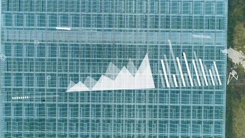 Flat design area and bar charts animatin... | Stock Video | Pond5