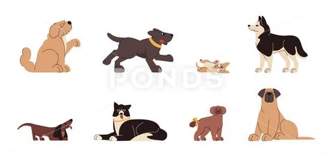 Flat set of various dog breeds and sizes ~ Clip Art #193064699