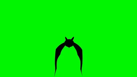 Flat style animation bat hovering agains... | Stock Video | Pond5