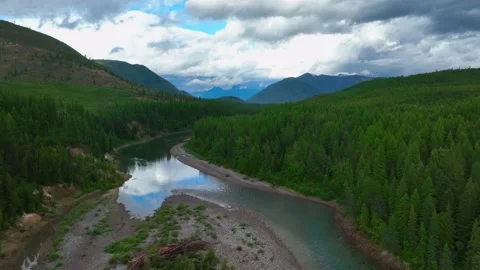 Flathead River Surrounded By Dense Conif... | Stock Video | Pond5