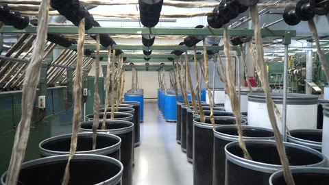 flax production. Production process. Mat... | Stock Video | Pond5