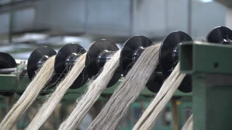 flax production. Production process. Mat... | Stock Video | Pond5