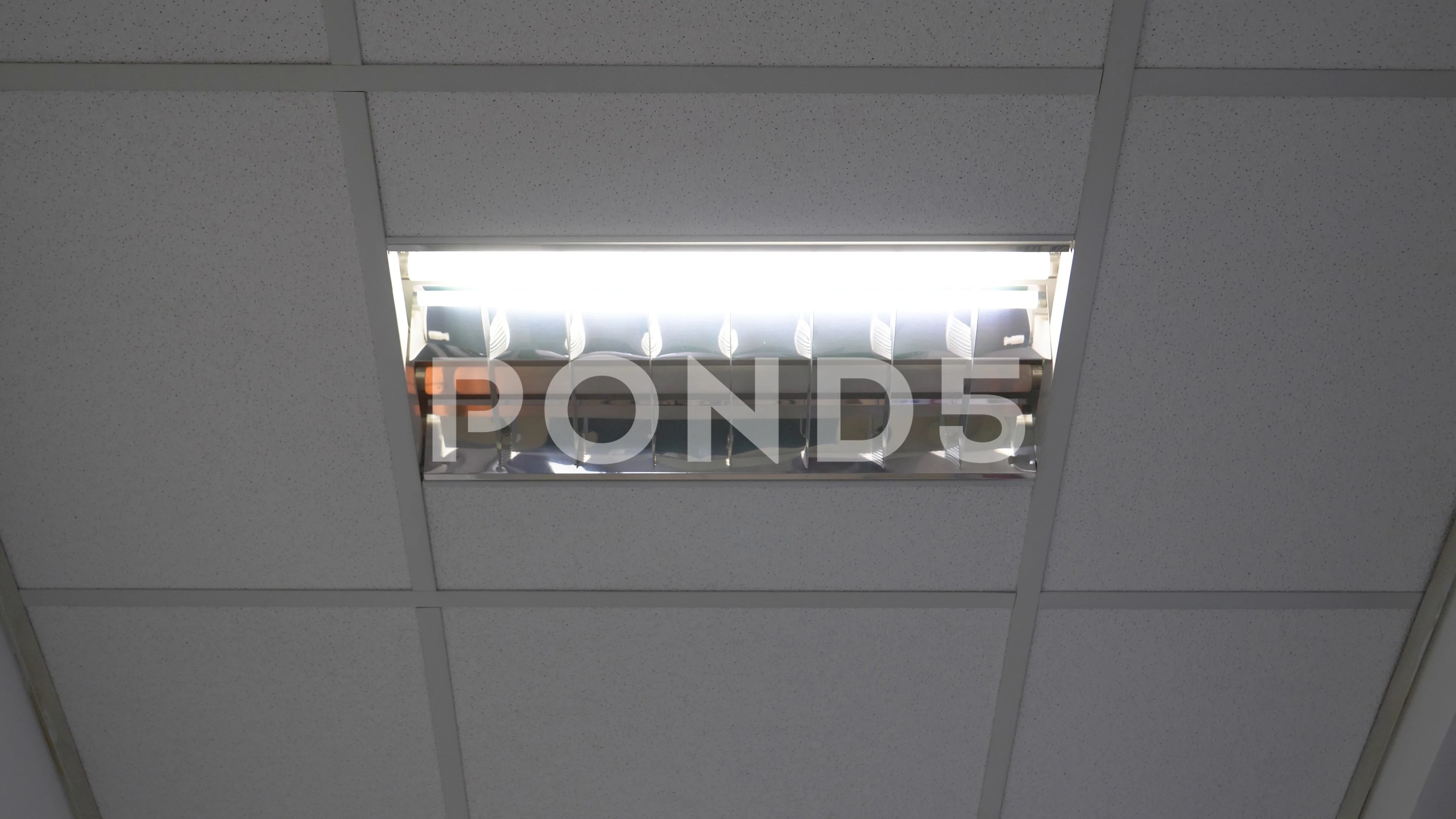 Why Is The Fluorescent Light Flickering - Infoupdate.org