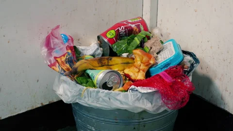 Flies Buzzing Around Full Trash Can | Stock Video | Pond5