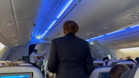 Flight Attendant Walk Stock Videos – Royalty-Free HD & 4K Videos | Page 2