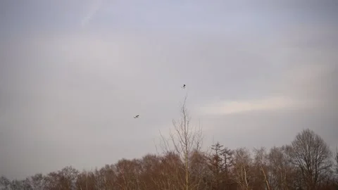 The Over Intent Stock Videos – Royalty-Free HD & 4K Videos | Pond5