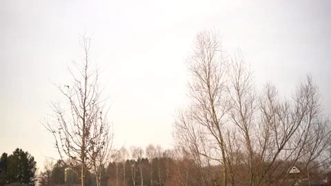 The Over Intent Stock Videos – Royalty-Free HD & 4K Videos | Pond5