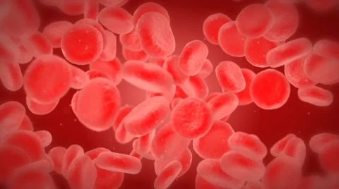 Flight of blood examined under a microsc... | Stock Video | Pond5
