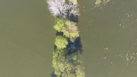 Flight over a line of trees on a flood | Stock Video | Pond5