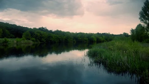 Birds During Rain Stock Videos – Royalty-Free HD & 4K Videos | Page 2