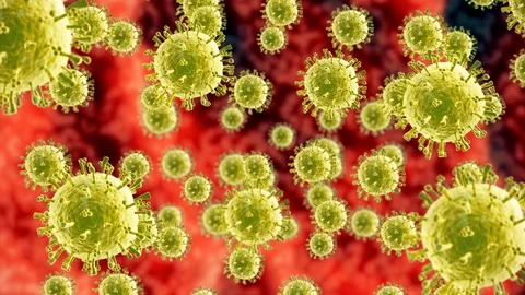 Pathogenic Bacteria Stock Videos – Royalty-Free HD & 4K Videos | Pond5