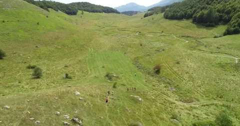 Flight top down above green field river ... | Stock Video | Pond5