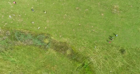 Flight top down above green field river ... | Stock Video | Pond5