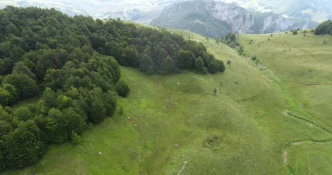 Flight top down above green field river ... | Stock Video | Pond5