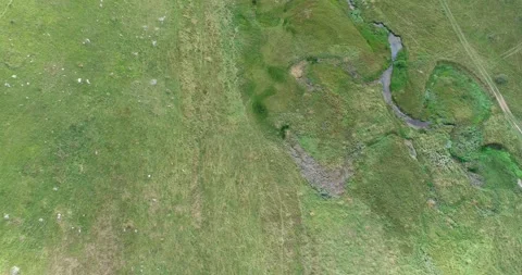 Flight top down above green field river ... | Stock Video | Pond5