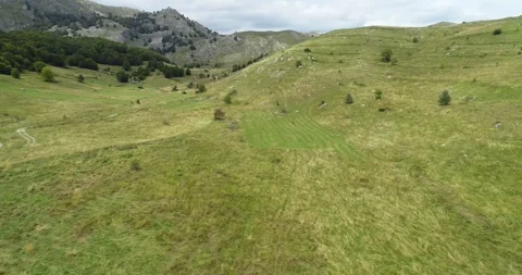 Flight top down above green field river ... | Stock Video | Pond5