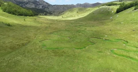 Flight top down above green field river ... | Stock Video | Pond5