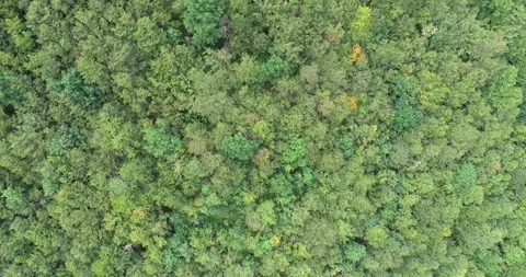 Flight top down above green field river ... | Stock Video | Pond5