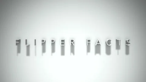 flipper facts 3D title animation white t... | Stock Video | Pond5