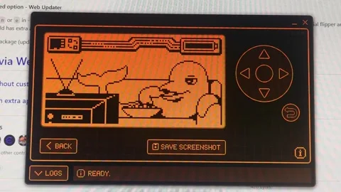 Flipper Zero screen graphics scanning an... | Stock Video | Pond5