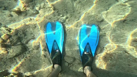 Flippers on feet underwater in the summe... | Stock Video | Pond5