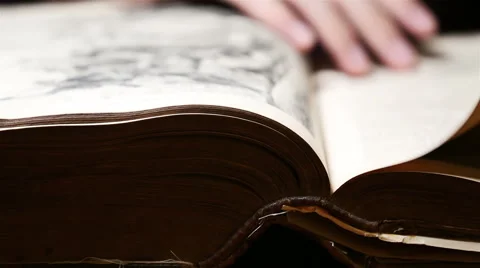 Flipping Stock Videos – Royalty-Free HD & 4K Videos