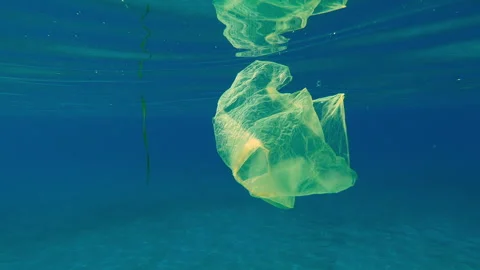Floating debris and pollution in a body ... | Stock Video | Pond5
