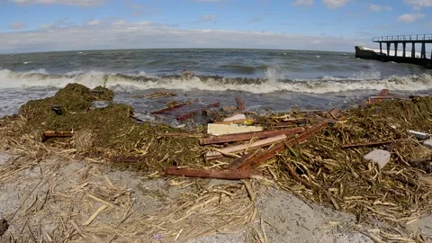 Floating debris has reached the Black Se... | Stock Video | Pond5