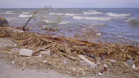 Floating debris has reached Black Sea be... | Stock Video | Pond5