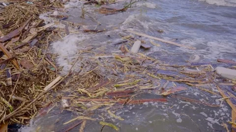 Floating debris has reached Black Sea be... | Stock Video | Pond5