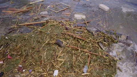 Floating debris has reached Black Sea be... | Stock Video | Pond5