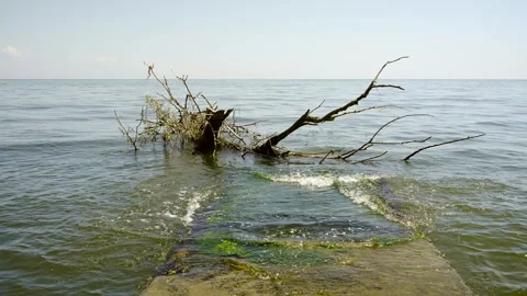 Floating debris has reached Black Sea be... | Stock Video | Pond5